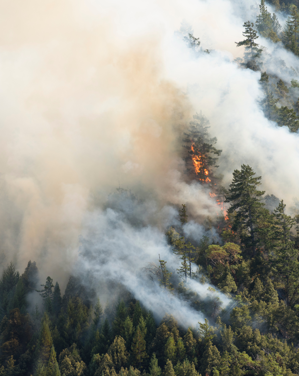 Health Hazards | HealthUnit Haldimand-Norfolk