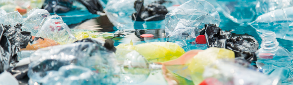 Health Hazards | HealthUnit Haldimand-Norfolk