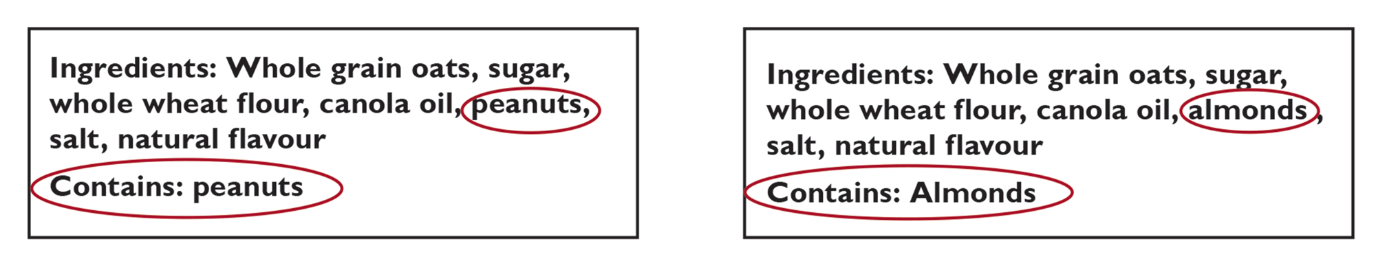 Peanut and Tree Nut Aware Lunches and Snacks | HealthUnit Haldimand-Norfolk